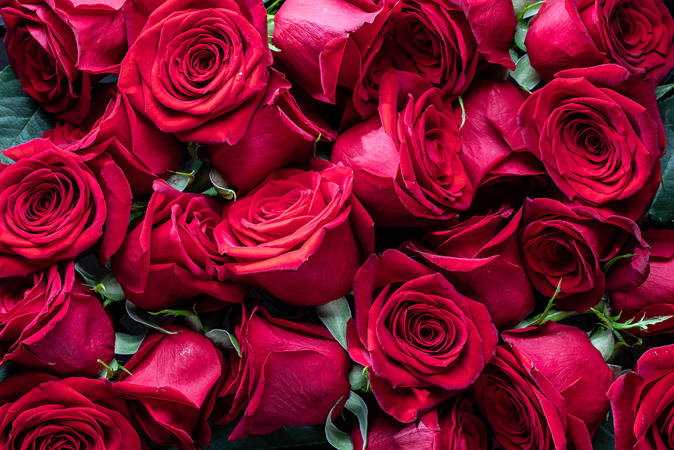 Catering by Dorothy Lane Market