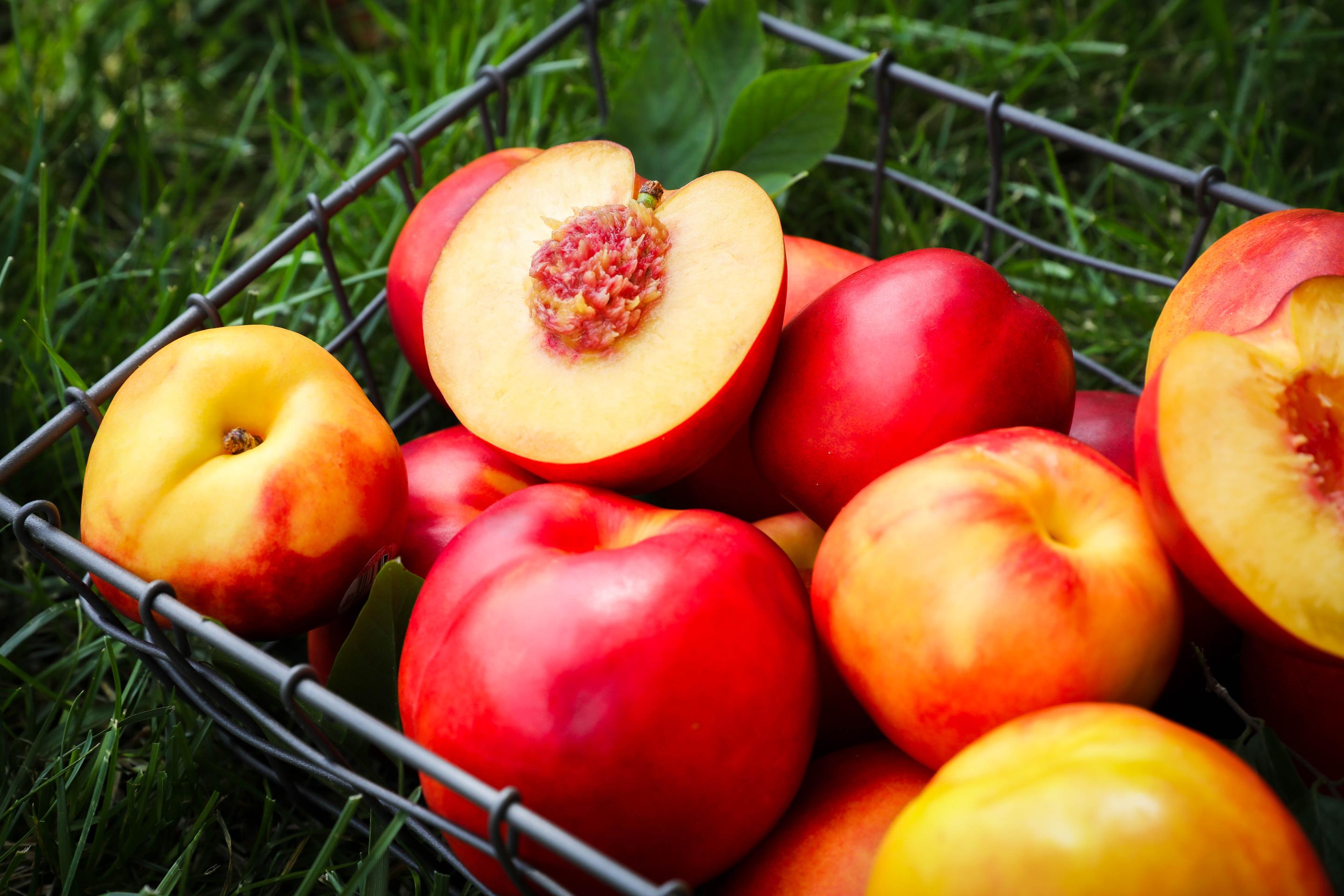 Culinary Center Classes | Dorothy Lane Market
